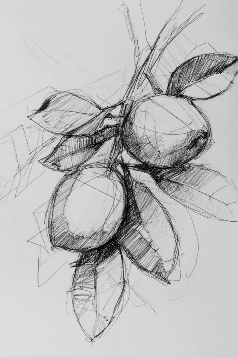 25 Easy Tropical Fruit Drawing Ideas for Your Sketchbook - Brighter Craft