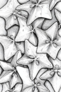 25 Easy Tropical Fruit Drawing Ideas for Your Sketchbook - Brighter Craft