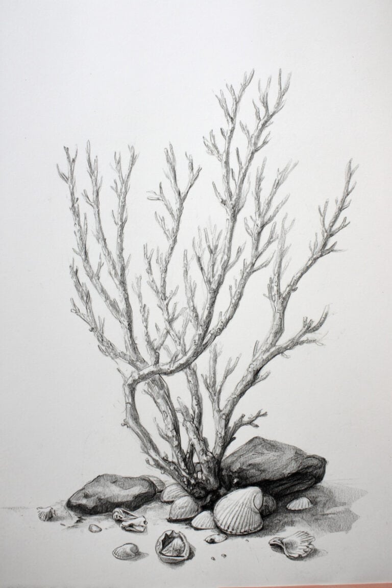 25 Life Drawing Sketch Ideas Inspired by the Sea - Brighter Craft
