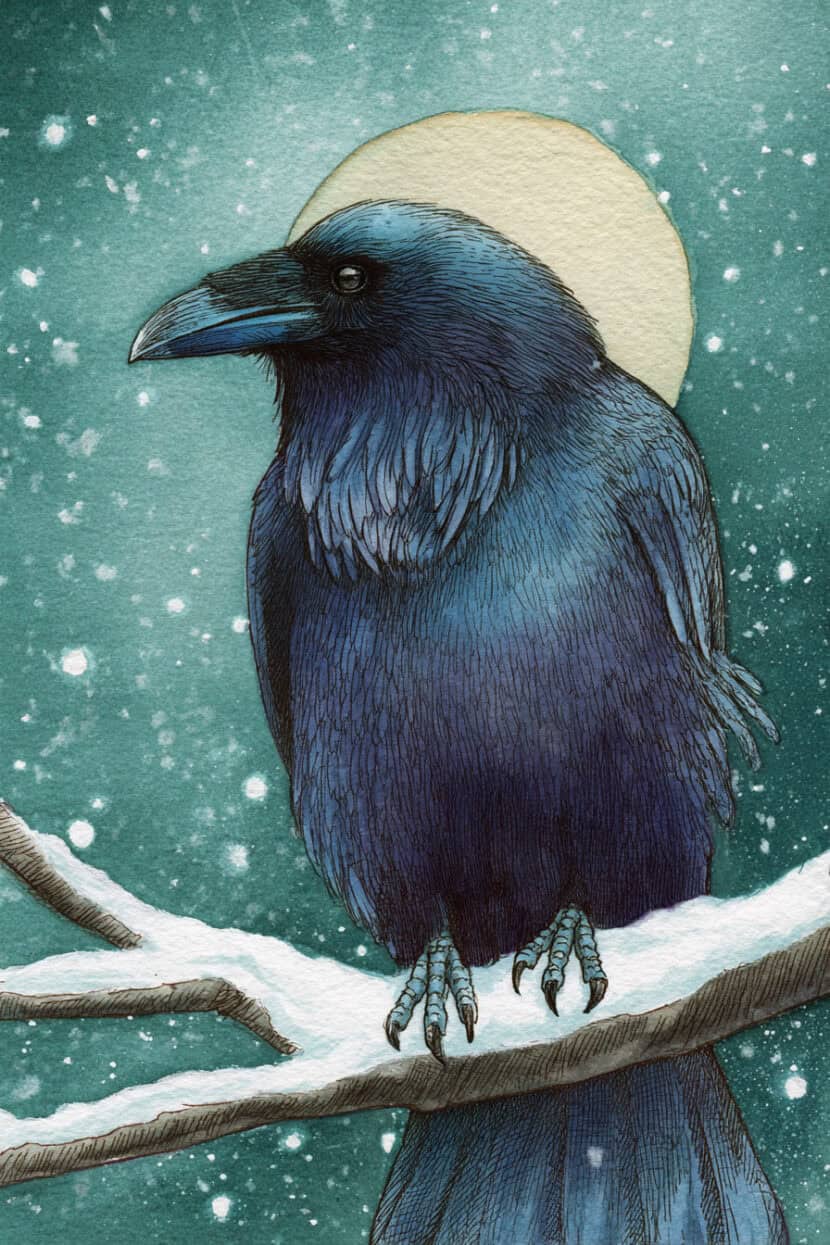 25 Magical Winter Fantasy Creature Watercolor Ideas to Spark Creativity ...