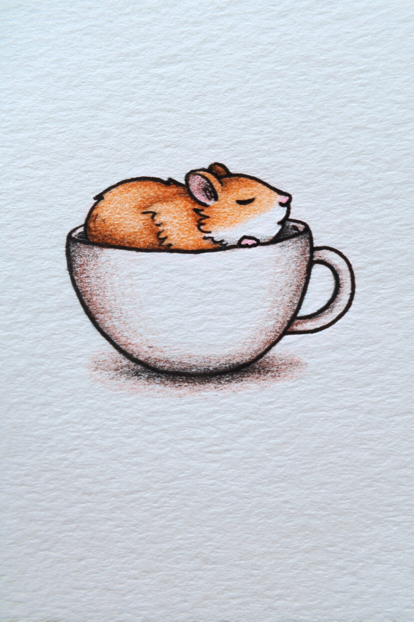 25 Adorable Winter Animal Drawings for Creative Days - Brighter Craft